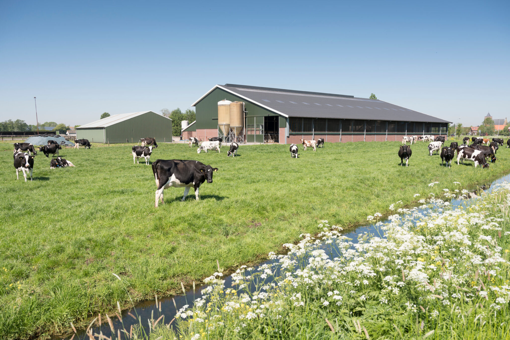 Agrarisch Makelaar in Zuid-Nederland – Adriaan van den Heuvel